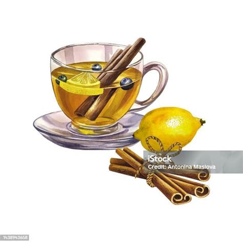 레몬과 계피를 곁들인 차 한 잔 차로 채워진 유리 투명 컵 수채화 그림 0명에 대한 스톡 벡터 아트 및 기타 이미지 0명 갈색 건강관리와 의술 Istock