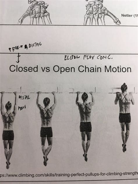 Open Chain Vs Closed Chain Definition At James Vanhorn Blog