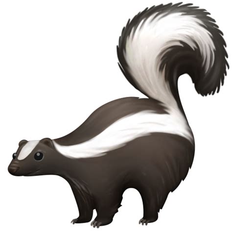 🦨 Mouffette Sur Facebook 160