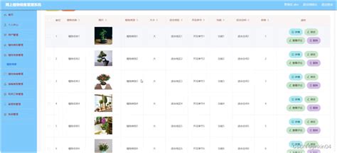 java php node js python网上植物销售管理系统 年毕设 农业植物销售买卖平台后台node js截图 CSDN博客