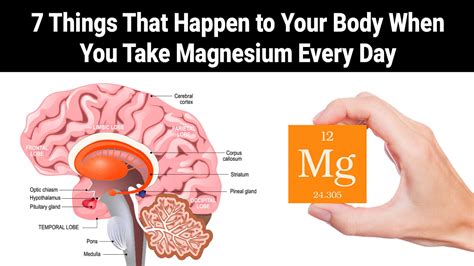 Things Magnesium