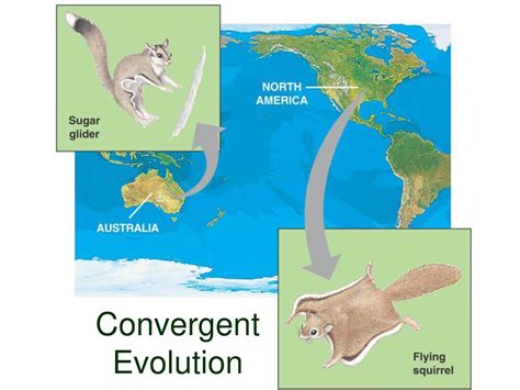 Evolution Birth Of The Earth Evidence Of Evolution Theory Of Evolution