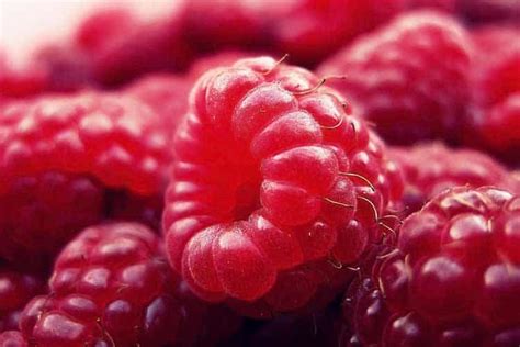 The Real Numbers For Raspberry Glycemic Index And Load Superfoodly