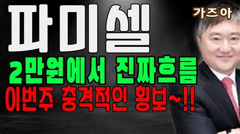 파미셀 2만원에서 진짜 흐름 이번주 충격적인 횡보 파미셀 주가전망 주식 목표가 Youtube