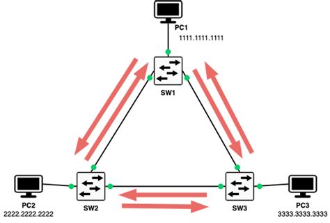 2 5 Spanning Tree Protocol Networking Basics