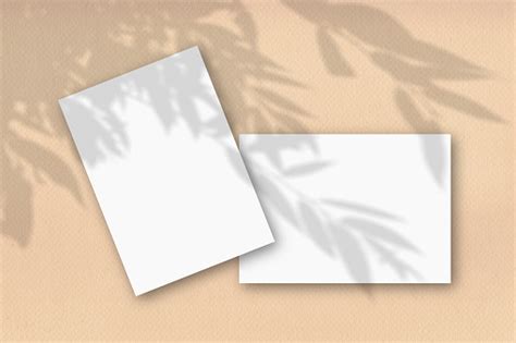 낙태 노란색 벽에 흰색 질감 종이 2 장 식물 그림자의 오버레이와 모형 자연광이 나무의 단풍에서 그림자를 투사합니다 플랫 레이 상단 보기 0명에 대한 스톡 벡터 아트 및