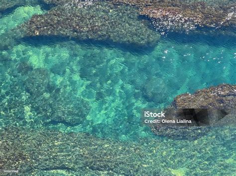 바닷물 반짝이는 청록색 푸른 표면 바위가 많은 해안 아름다운 바다 풍경 0명에 대한 스톡 사진 및 기타 이미지 0명 경관 경외감 Istock