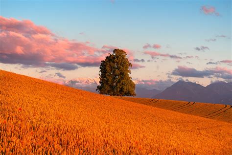 Onefs Supportassist Provisioning Part 2 Dell Technologies Info Hub