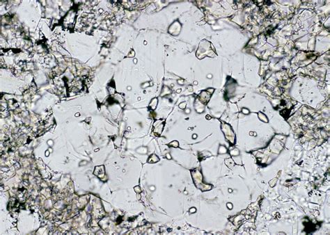 Moon Rocks Impact Melt Breccia Kurt Hollocher