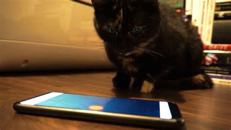 The Worlds Easiest Introduction To Webassembly