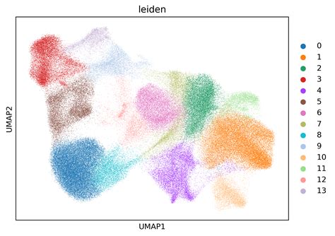 Analyze Xenium Data Spatialqc