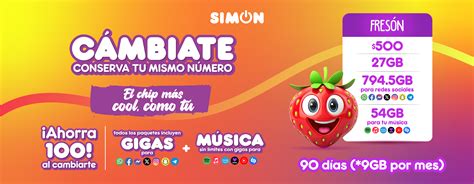 Chip Simon