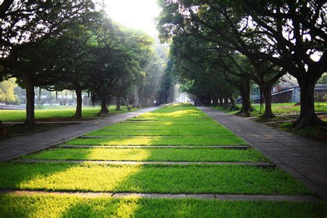 东海大学图册 360百科