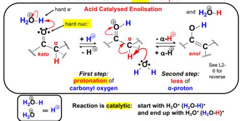 Lecture 2 Enolisation Flashcards Quizlet