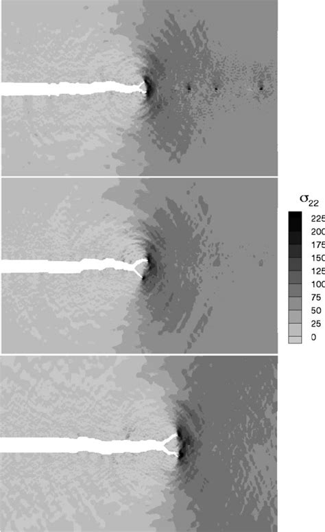Contours Of The Axial Physical Component Of Cauchy Stress σ 22 The
