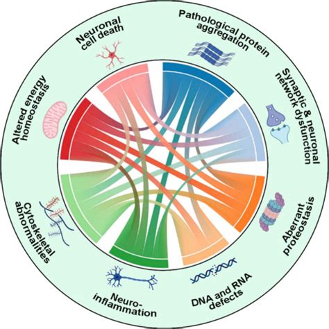 Polyglutamine Polyq Diseases Navigating The Landscape Of