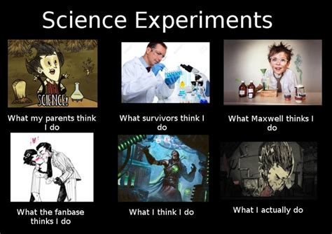 Memes Science Experiments Wilson Art