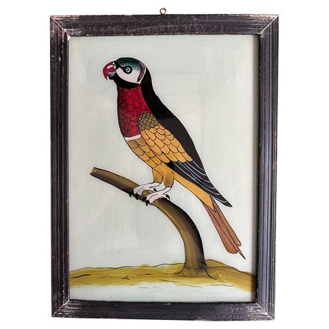 19th Century Parrot Portrait Vibrant Exotic Bird Art For Sale At 1stdibs