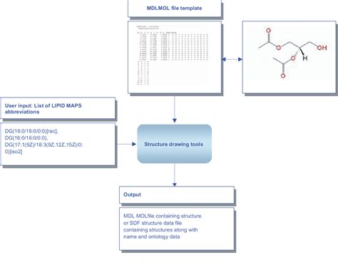 Lipid Maps Online Tools For Lipid Research At Harold Raines Blog