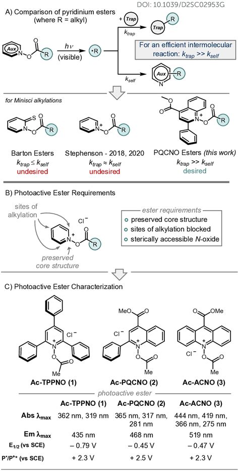A Comparison Of Pyridinium Esters B Overview Of Photoactive Ester Download Scientific Diagram