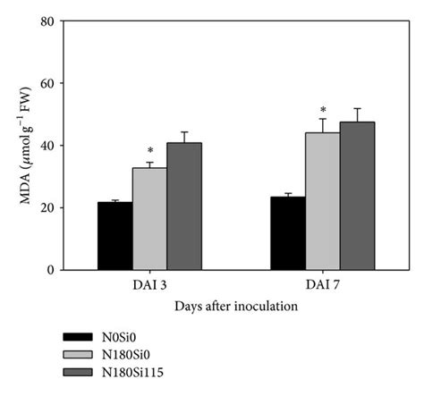 Effect Of Fertilization Rates On Antioxidant Enzyme Activities And Mda