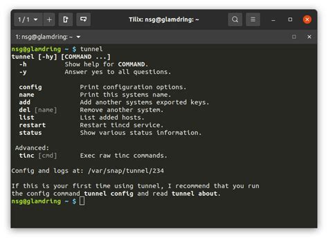 Install Tunnel On Linux Snap Store
