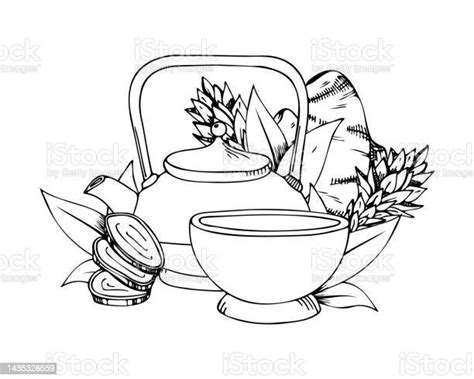 벡터 손으로 그린 허브 생강 차 일러스트레이션 장식용 잉크 낙서 요소 0명에 대한 스톡 벡터 아트 및 기타 이미지 0명 개체 그룹 건강관리와 의술 Istock