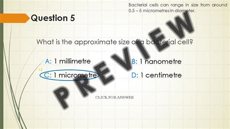 Cell Structure Revision Quiz W Answers Teaching Resources