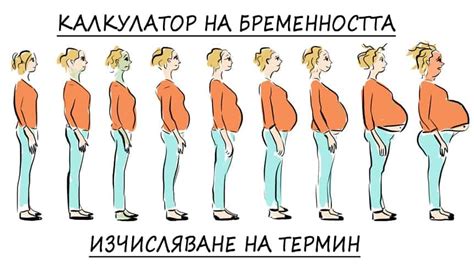 Калкулатор бременност Изчисляване на термин и гестационна седмица