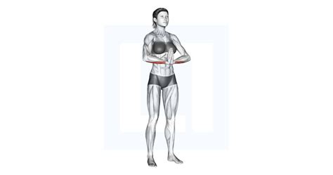 Wrist Flexor Stretch Guide Benefits And Form