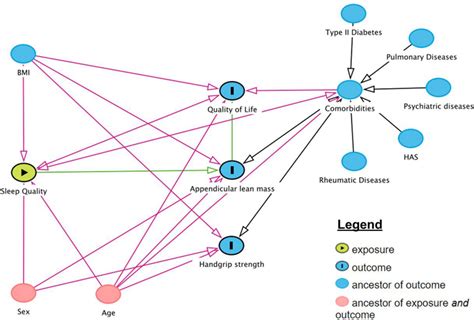Direct Acyclic Graph Of The Association Between Sleep Quality And Download Scientific Diagram