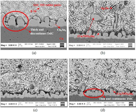 Fesem Micrographs Of Cross Sectional View Of Sn 30 Wt Ag 05