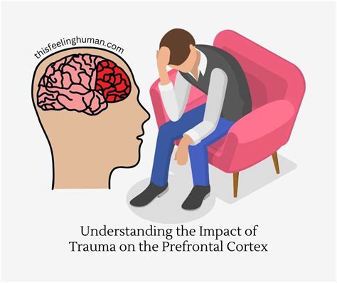 The Struggle For Control Traumas Impact On The Prefrontal Cortex
