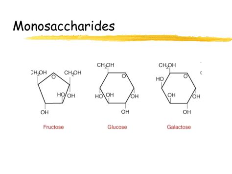 Ppt Water Organic Molecules Powerpoint Presentation Free Download