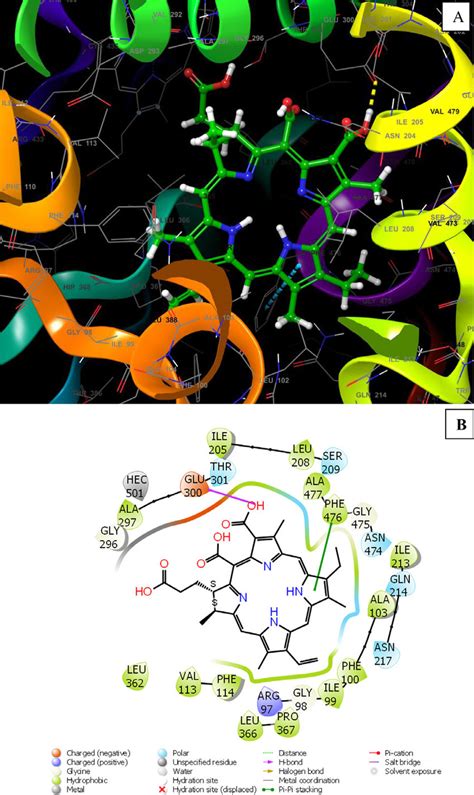 Interaction Of C P 6 With Cytochrome P450 Using Molecular Docking A
