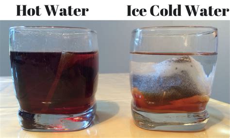 Osmosis Diffusion Definitions Examples And Practice OFF
