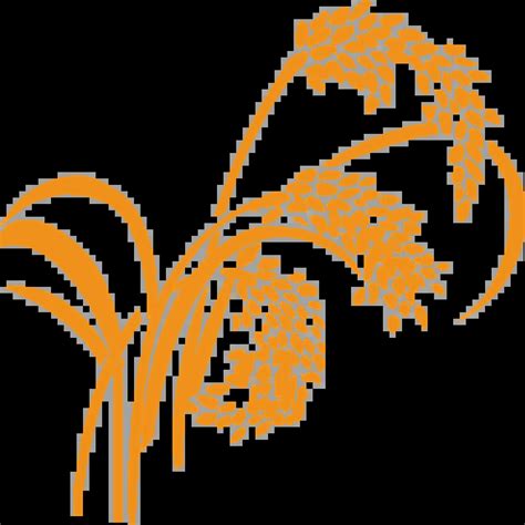 麦穗稻穗png免扣图片橄榄枝小麦徽章 麦穗 花瓣网