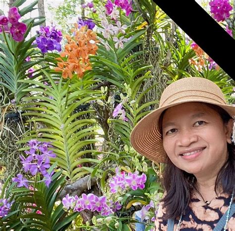 ใบงานภาษาไทยพาเพลิน Added A New Photo ใบงานภาษาไทยพาเพลิน