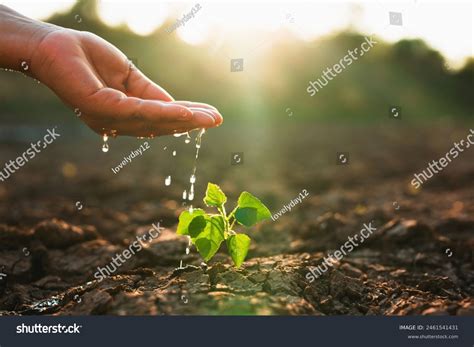 Cuidando El Agua Más De 1365506 Fotos De Stock Con Licencia Libres