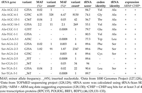 Human Trna Anticodon Variants Download Table