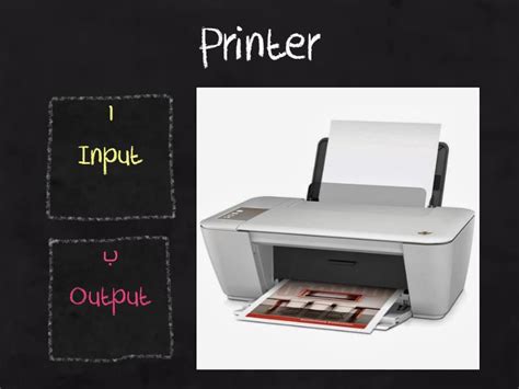 Ex Inputoutput Devices Quiz