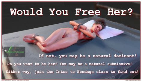 Would You Free Her Intro To Bondage 024 By TheVenusVariable Hentai Foundry