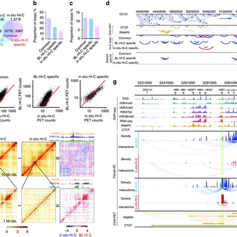 Pdf Bl Hi C Is An Efficient And Sensitive Approach For Capturing