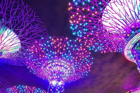 Citi Appoints Wenjie Zhang As Country Officer And Head Of Banking For China The Digital Banker