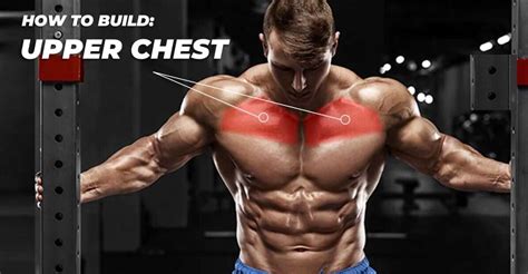 Upper Chest Muscles Exercises