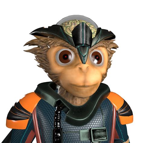 Brain Monkey 3d Model Turbosquid 2332438