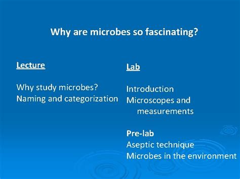 Why Are Microbes So Fascinating Lecture Lab Why