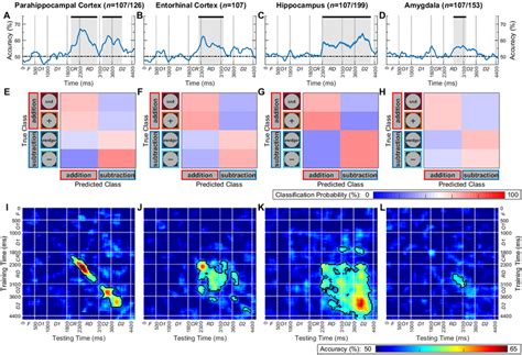 Figure S4 Rule Decoding In Sample Equalized Mtl Populations Using An