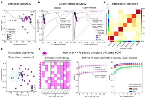 Accuracy Of Participant Annotations A Detection Precision Recall