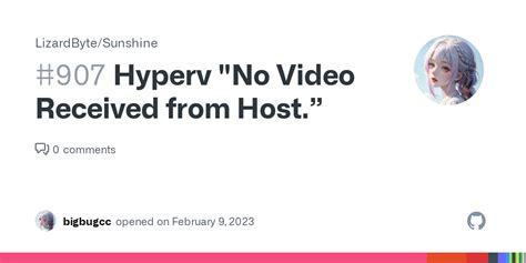 Hyperv No Video Received From Host Issue LizardByte Sunshine GitHub